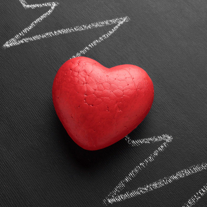 Cardiovascular – Lifestarter Project